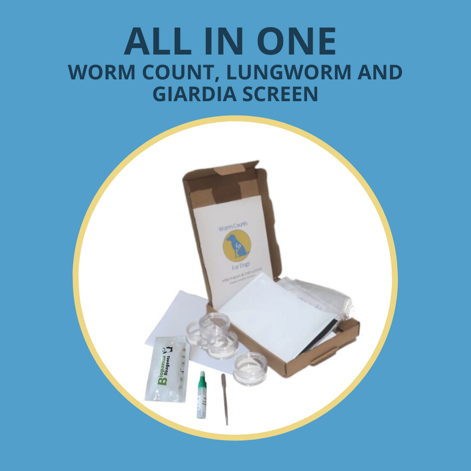 Worm Count Test Kits for Your Dog – Worm Counts for Dogs