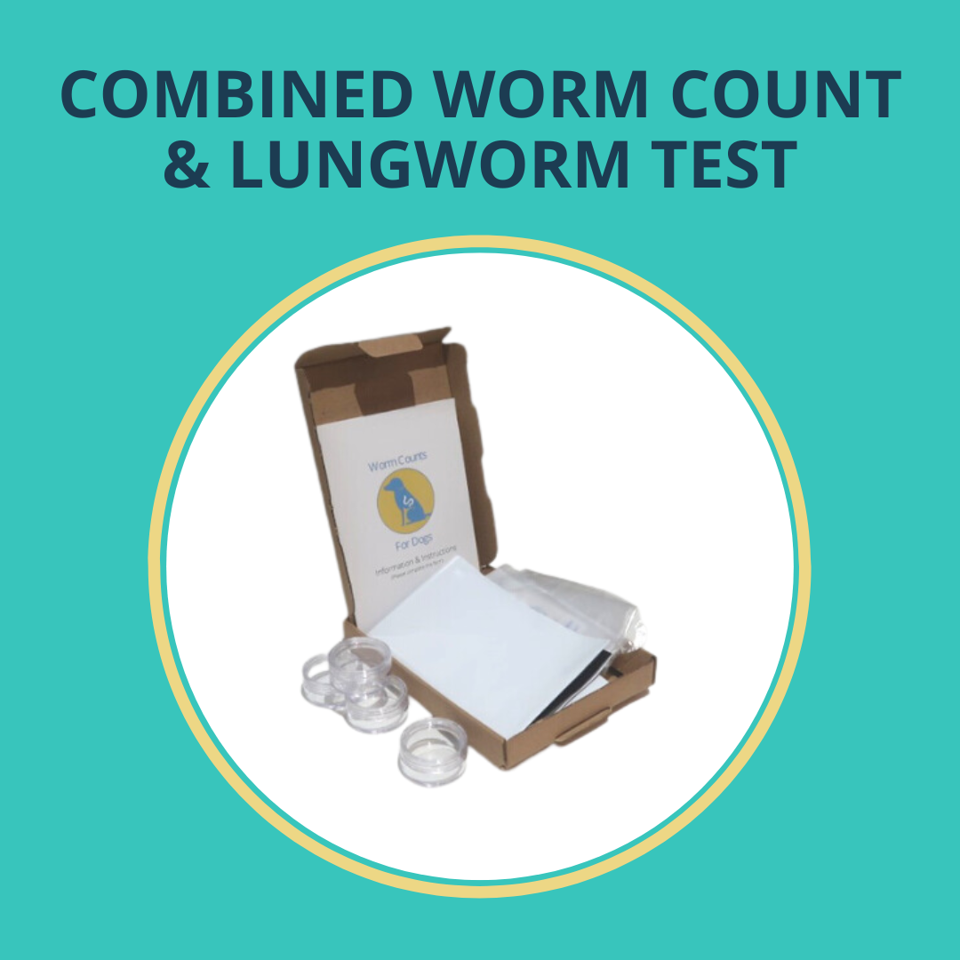 Worm Count Test Kits for Your Dog – Worm Counts for Dogs