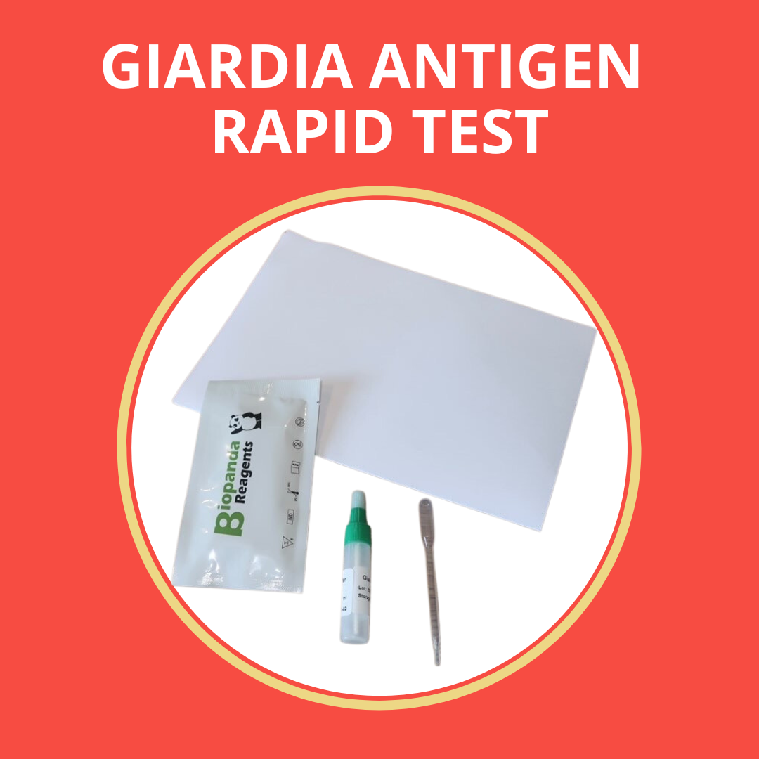 Worm Count Test Kits for Your Dog – Worm Counts for Dogs