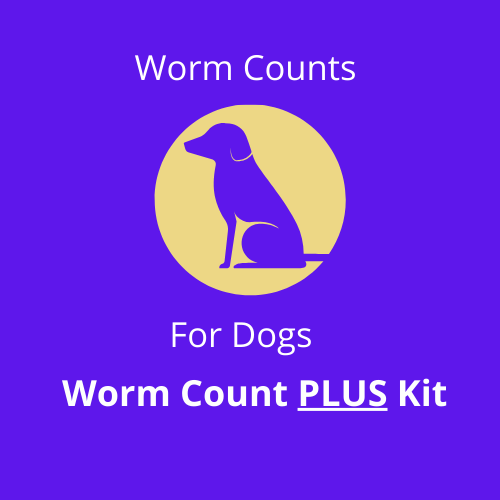 Worm Count Plus Giardia Kit for Dogs – Worm Counts for Dogs
